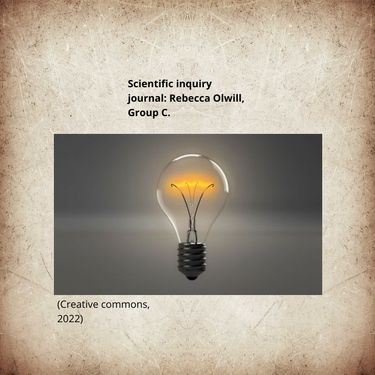 Book Creator | Science inquiry journal