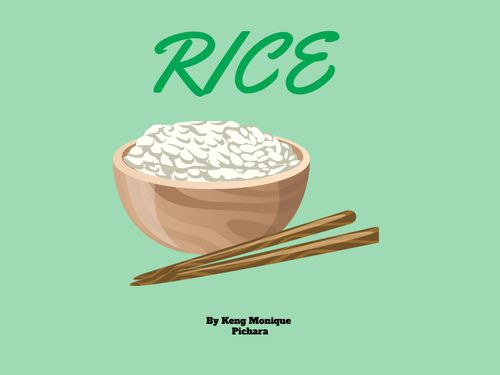 Book Creator | All About Book Rice