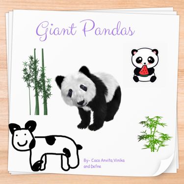 Book Creator | Giant Pandas
