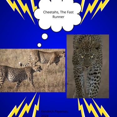 Book Creator | Cheetah's, the Fastest Animals
