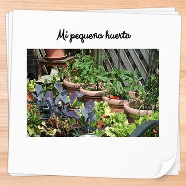 Book Creator | Mi pequeña huerta