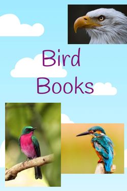 Book Creator | Bird Books