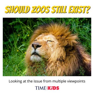 Book Creator | Should Zoos Still Exist?