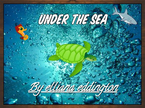 Book Creator | under the sea