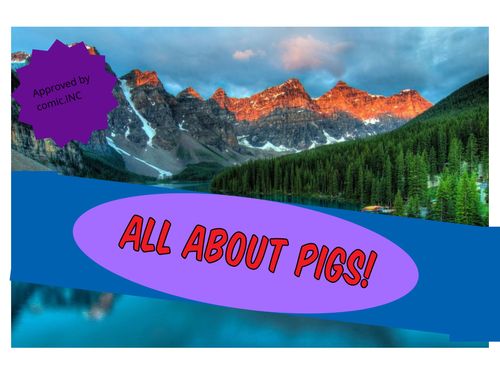 Book Creator | All about pigs
