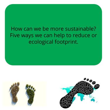 Book Creator | Sustainable Development