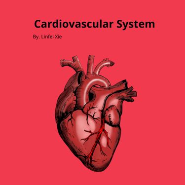 Book Creator | Cardiovascular System