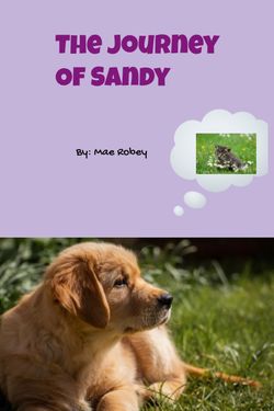Book Creator | Sandys Journey!