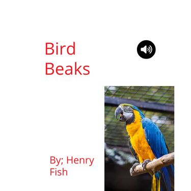Book Creator | Bird Beaks