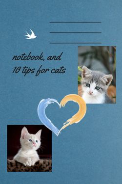 Book Creator | notebook, and 10 tips for cats