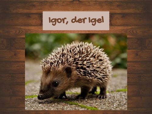 Book Creator | Der Igel