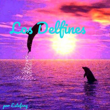 Book Creator | delfines