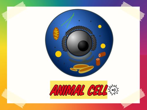 Book Creator | ANIMAL CELL