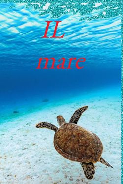 Book Creator | il mare