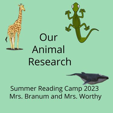 Book Creator | Animal Research