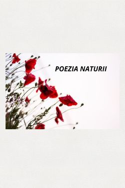 Book Creator | POEZIA NATURII