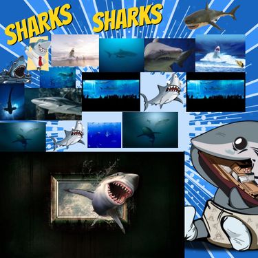 Book Creator | Sharks