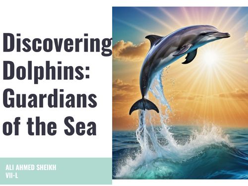 Book Creator | Discovering Dolphins: Guardians of the Sea