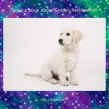 Book Creator | Golden Retrievers