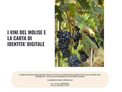 Book Creator | Elaborato Tic