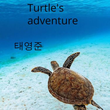 Book Creator | Turtle's adventure