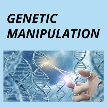 Book Creator | Genetic Manipulation