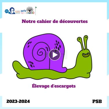 Book Creator | Les escargots