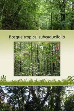 Book Creator | bosque subcaducifolio