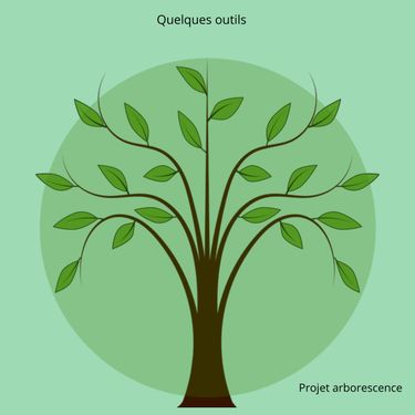 Book Creator | Projet arborescence