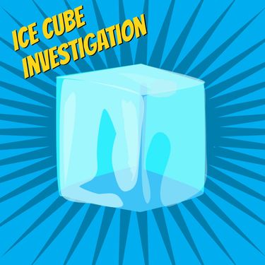 Book Creator | Science investigation