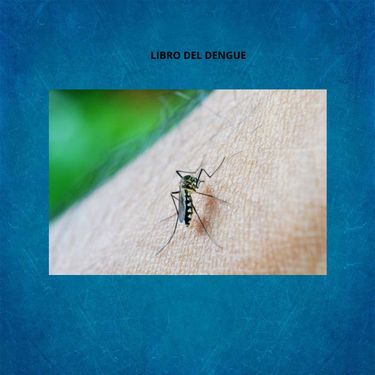 Book Creator | DENGUE LIBRO
