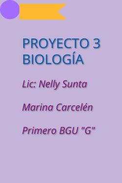 Book Creator | Proyecto 3