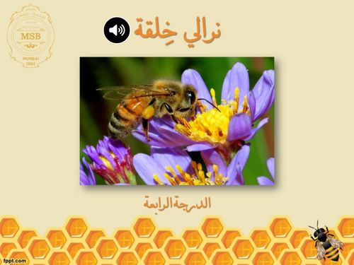 Book Creator | نرالي خلقة - Honeybee