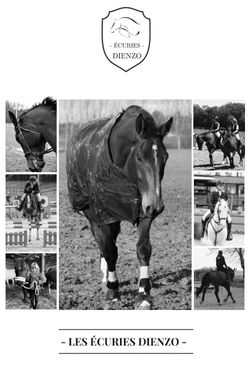 Book Creator | Les Écuries Dienzo