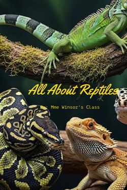 Book Creator | All About Reptiles