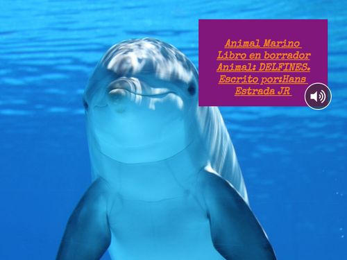 Book Creator | delfines