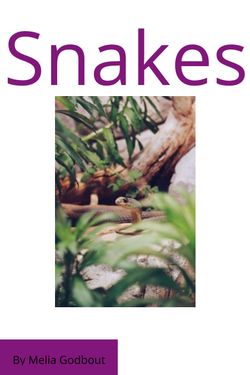 Book Creator | Snakes
