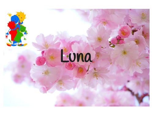 Book Creator | Luna