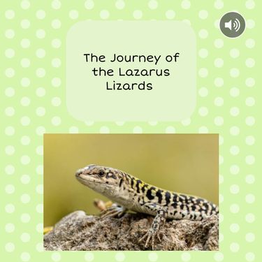 Book Creator | The Journey of the Lazarus Lizards