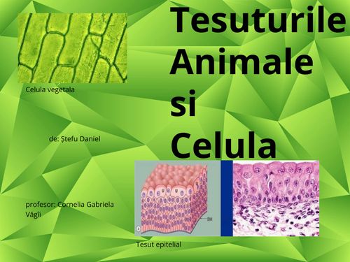 Book Creator | Celula și Țesuturile