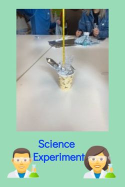 Book Creator | Science Experiment