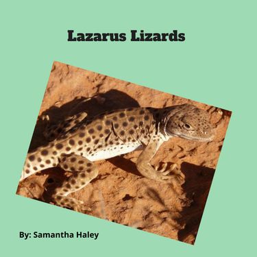 Book Creator | Lazarus Lizards