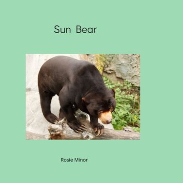 Book Creator | Sun Bear
