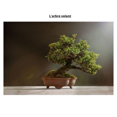 Book Creator | L'arbre volant