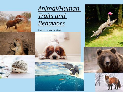 Book Creator | Animal Behaviors and Traits