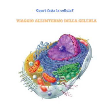 Book Creator | La cellula