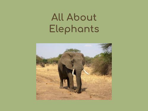 Book Creator | All About Elephants