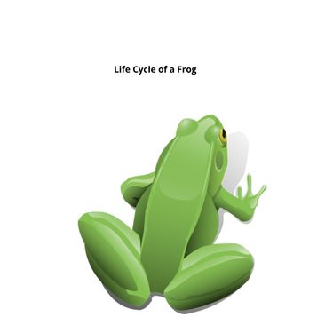 Book Creator | Frogs