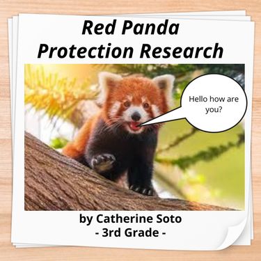 Book Creator | Red Panda Protection Research