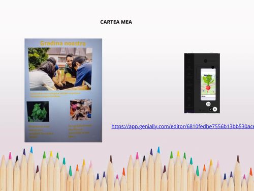 Book Creator | CARTEA MEA